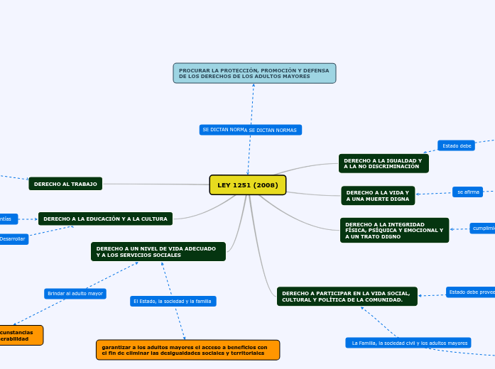 LEY 1251 (2008) - Mind Map